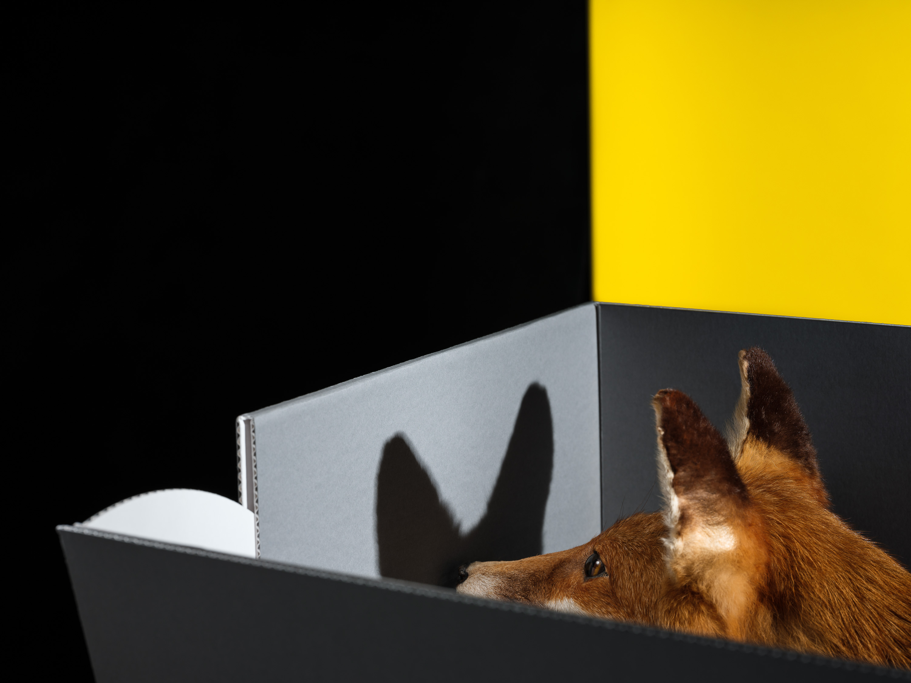 ZFB – Zentrum für Bucherhaltung – CHRISTOPH BUSSE fotografiert